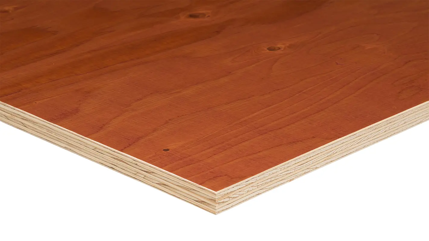 Den mångsidiga WISA-Form Spruce är pålitlig och hållbar | WISA PLYWOOD