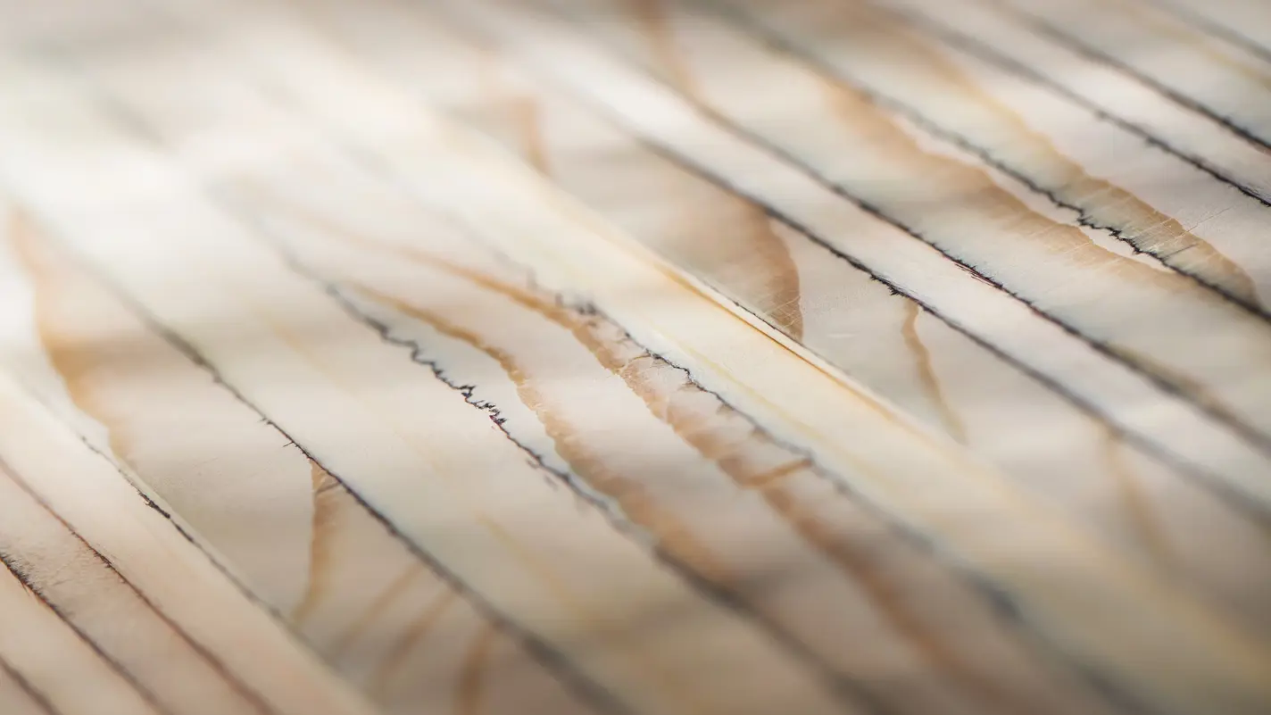 The Europe's largest manufacturer of coniferous plywood, UPM Pellos ...